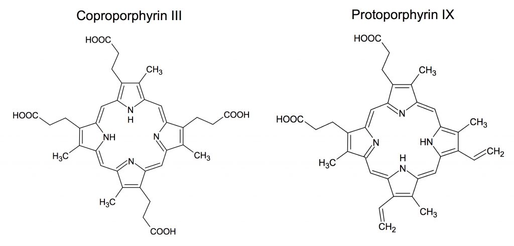 Porphyrins - Ismael Galván Lab